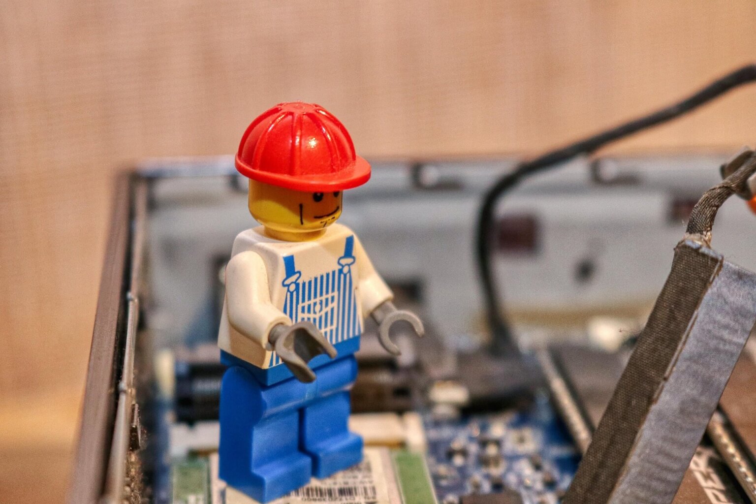 Was ist eine Rosette? | EPENPORTAL.DE